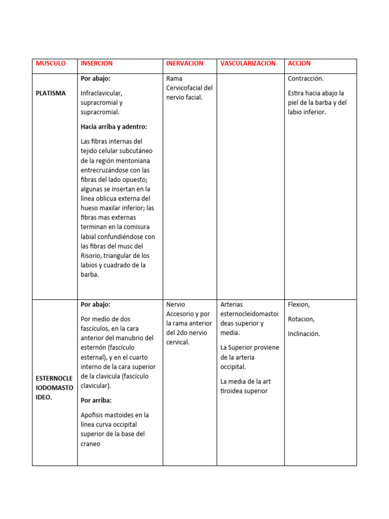 Mus Culo | PDF | Sistema esquelético | Anatomía