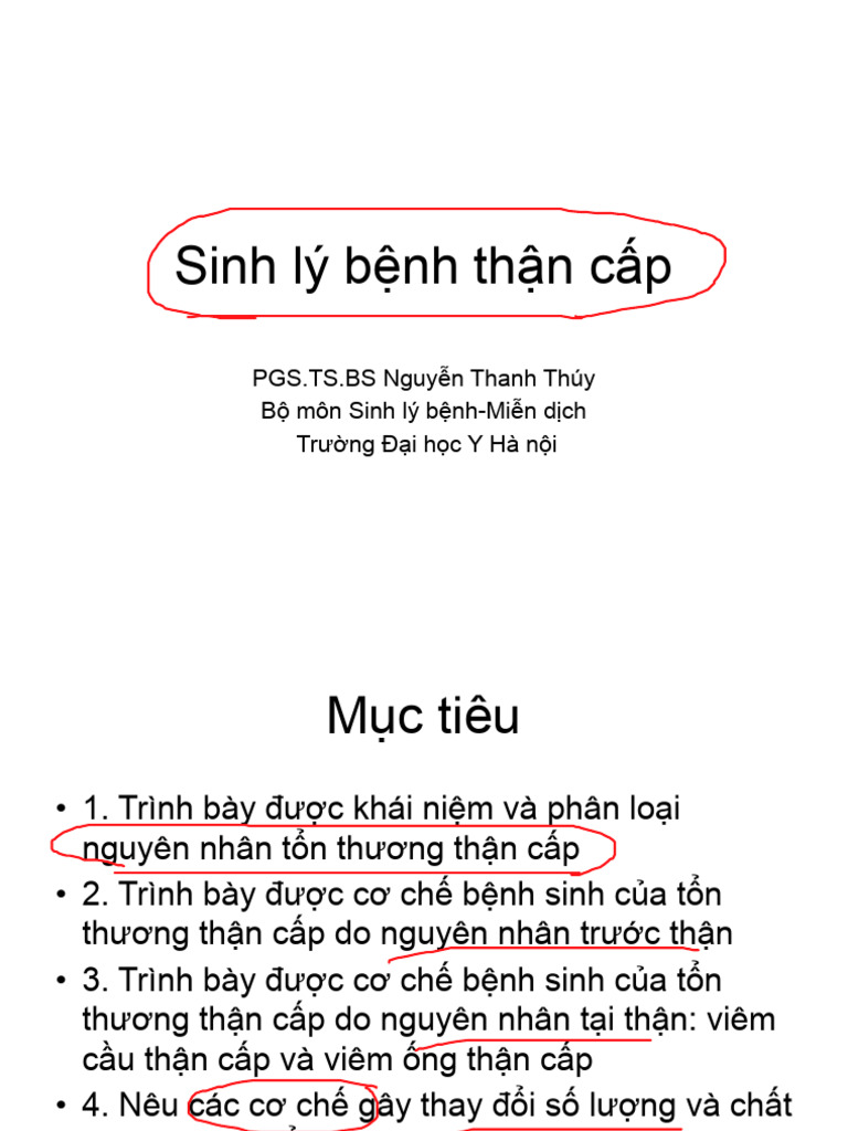 Lec13 (SLB) Bệnh thận cấp | PDF