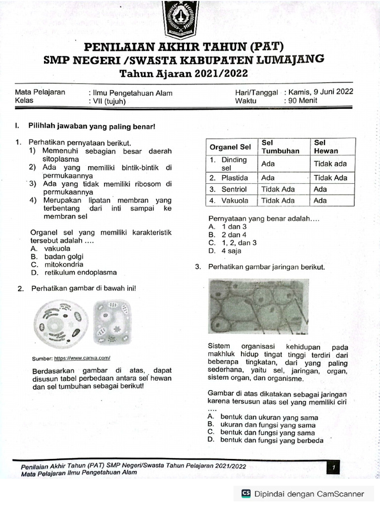 PAT 2021-2022 Genap | PDF
