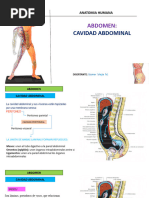 Omentos mayor y menor_ Anatomía, ubicación y función _ Kenhub | PDF ...