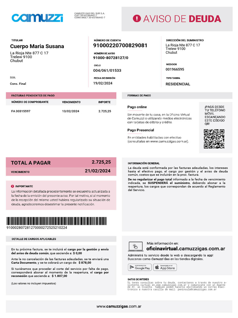 Factura Camuzzi con DNI 21/02/2024 | PDF