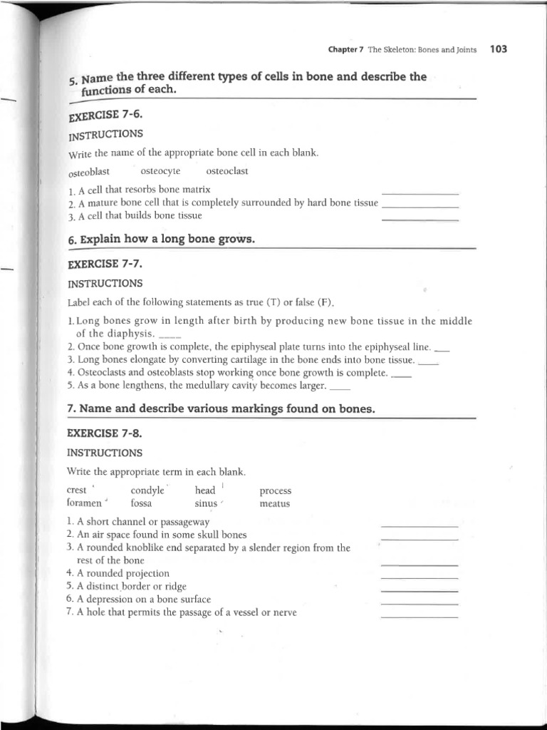2.bone Markings Ex 7-6, 7-7, 7-8 | PDF