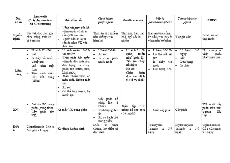 Bang Tom Tat Mot So Benh NT - ND Thuc Pham | PDF