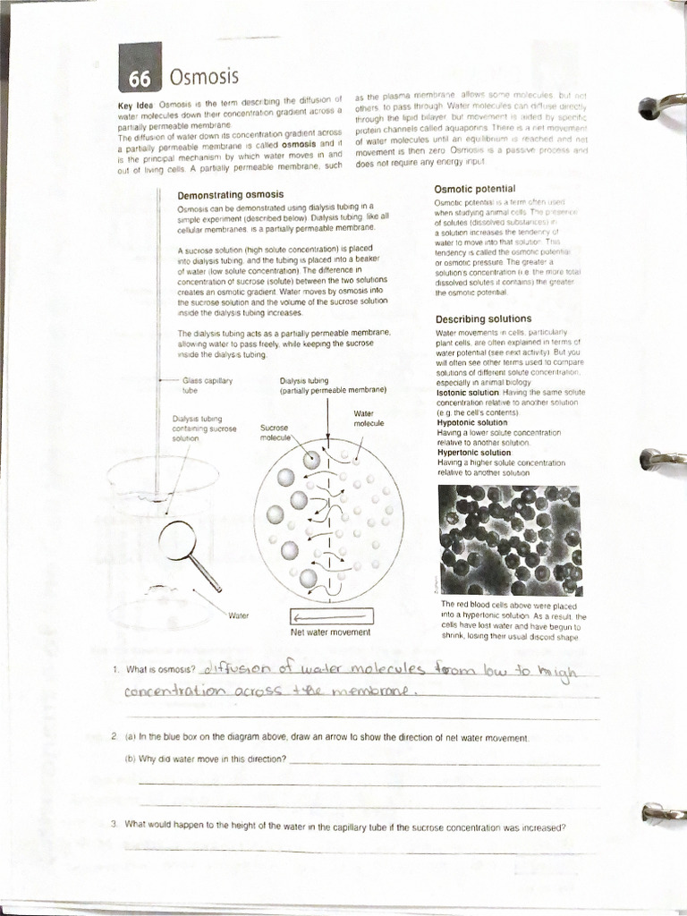 Osmosis | PDF