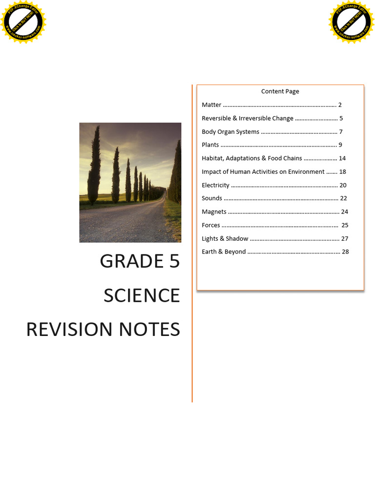 Grade 5 Science Revision Guide | PDF | Filtration | Water