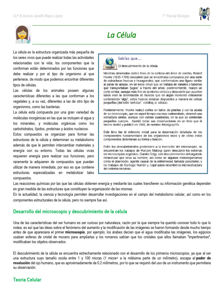 Estructura y Teoría Celular en Biología | PDF | Biología Celular ...