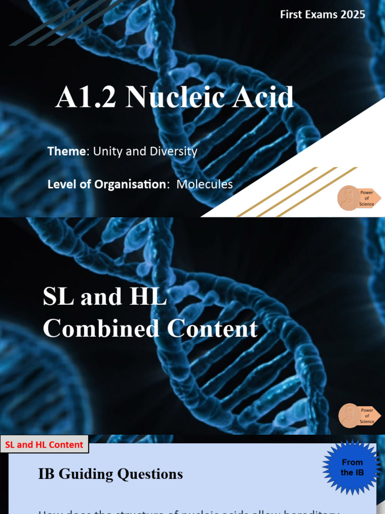 A1.2 Nucleic Acids | PDF | Nucleic Acids | Dna