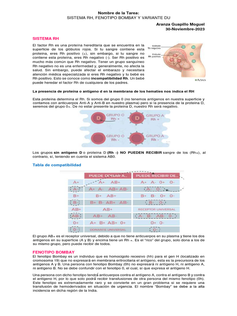 Sistema RH, Fenotipo Bombay y Variante Du | PDF | Tipo de sangre | Fluidos corporales