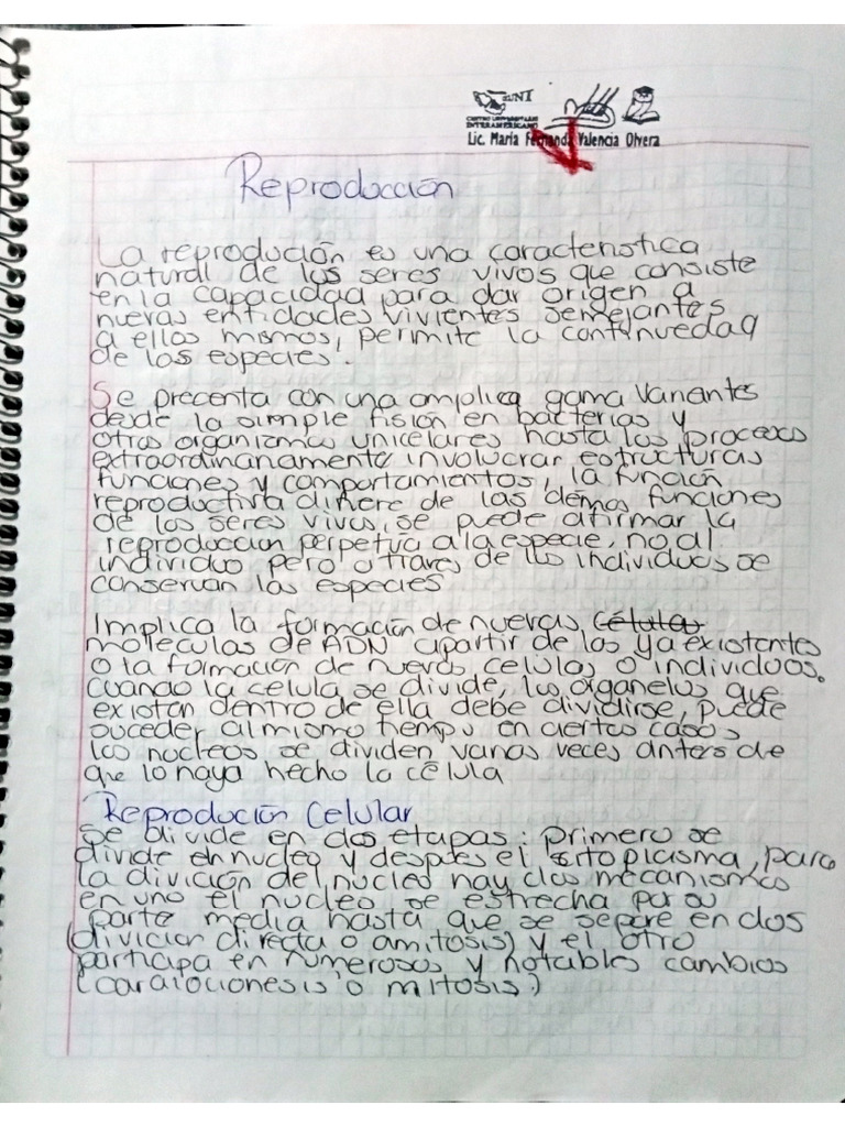 Reproducci N 3 Mar 2024 A Las 23 45 | PDF