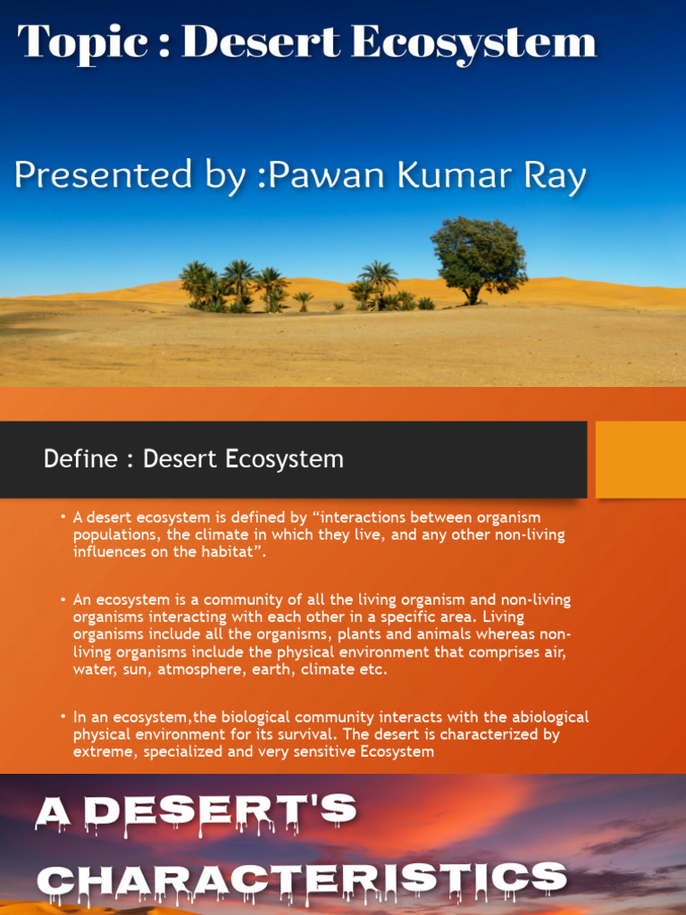 Desert Ecosystem Basics | PDF | Desert | Natural Environment