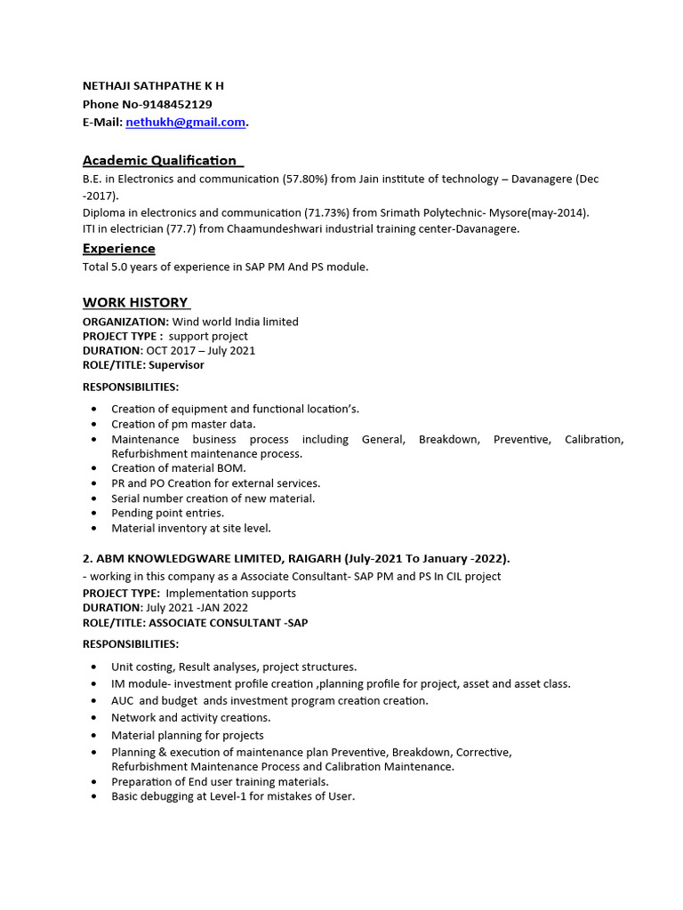 Nethaji Ps CV | PDF | Information Technology | Business