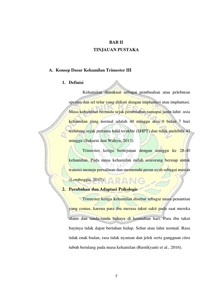 Bab Ii Tinjauan Pustaka | PDF