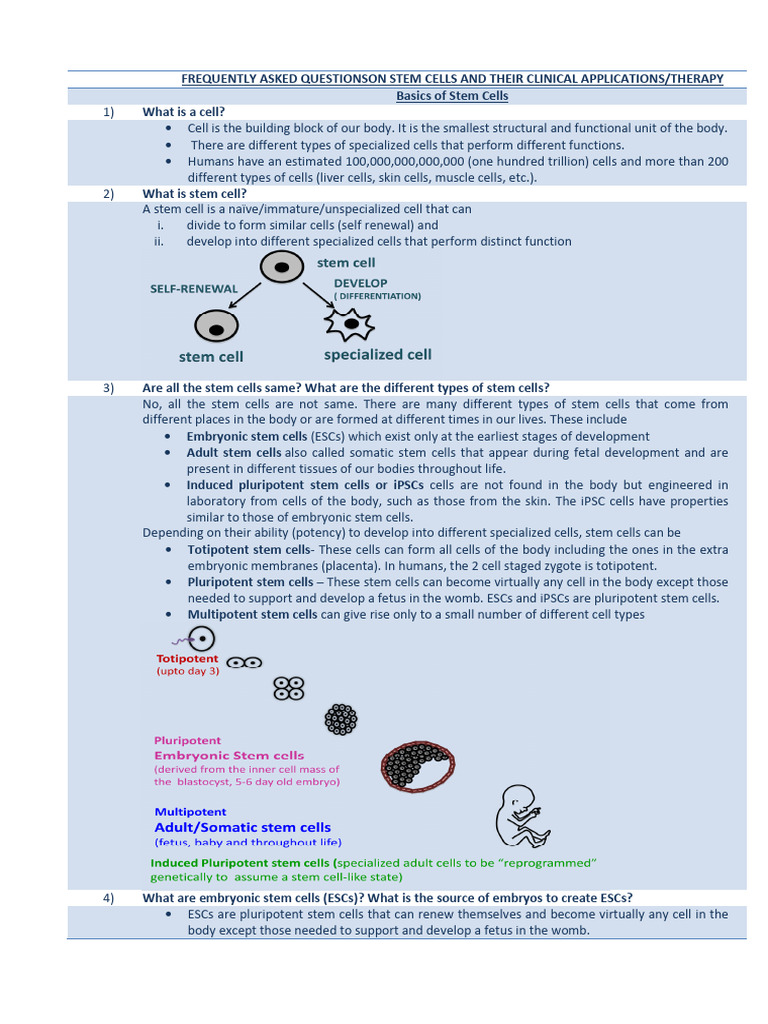 Basic Eng | PDF | Cell Potency | Stem Cell