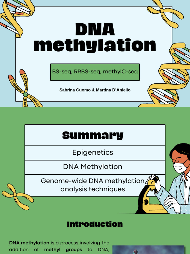 DNA Methylation | PDF | Dna Methylation | Epigenetics