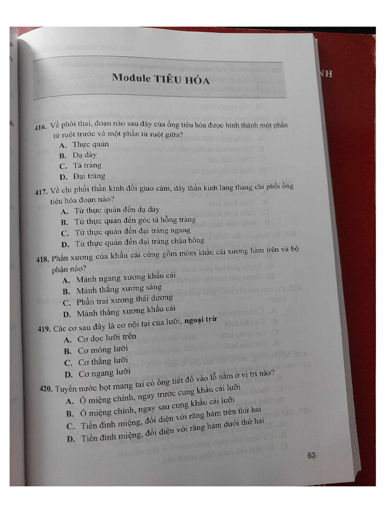 Giải phẫu Tiêu hoá | PDF