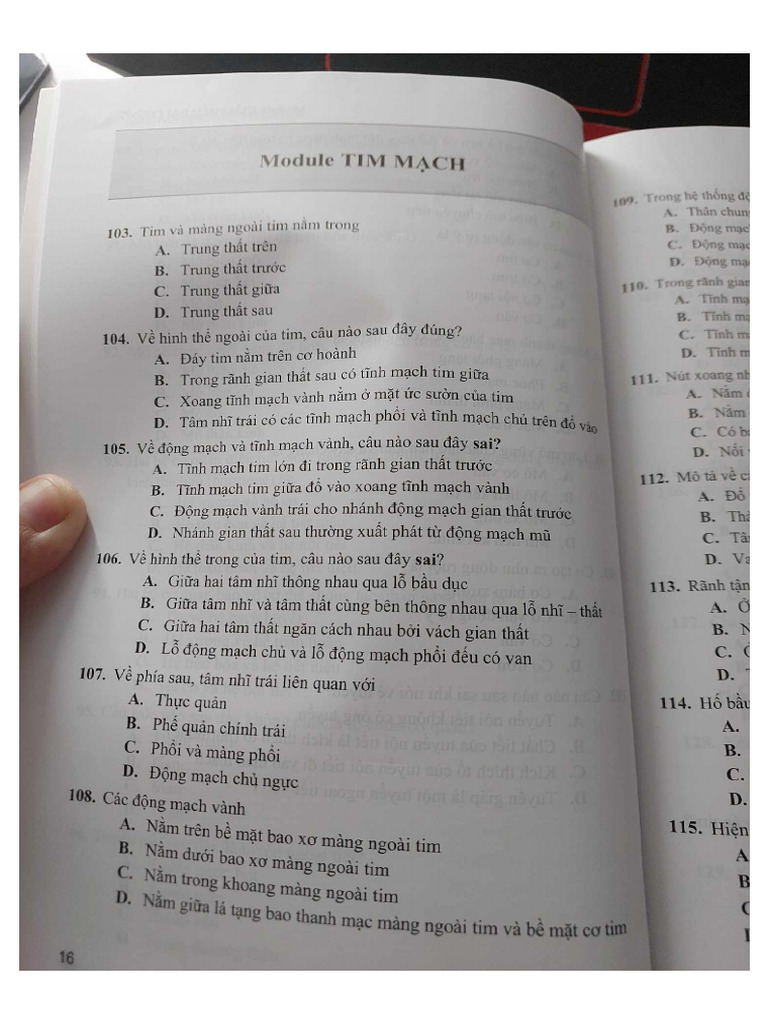 Giai Phau Tim Mach | PDF