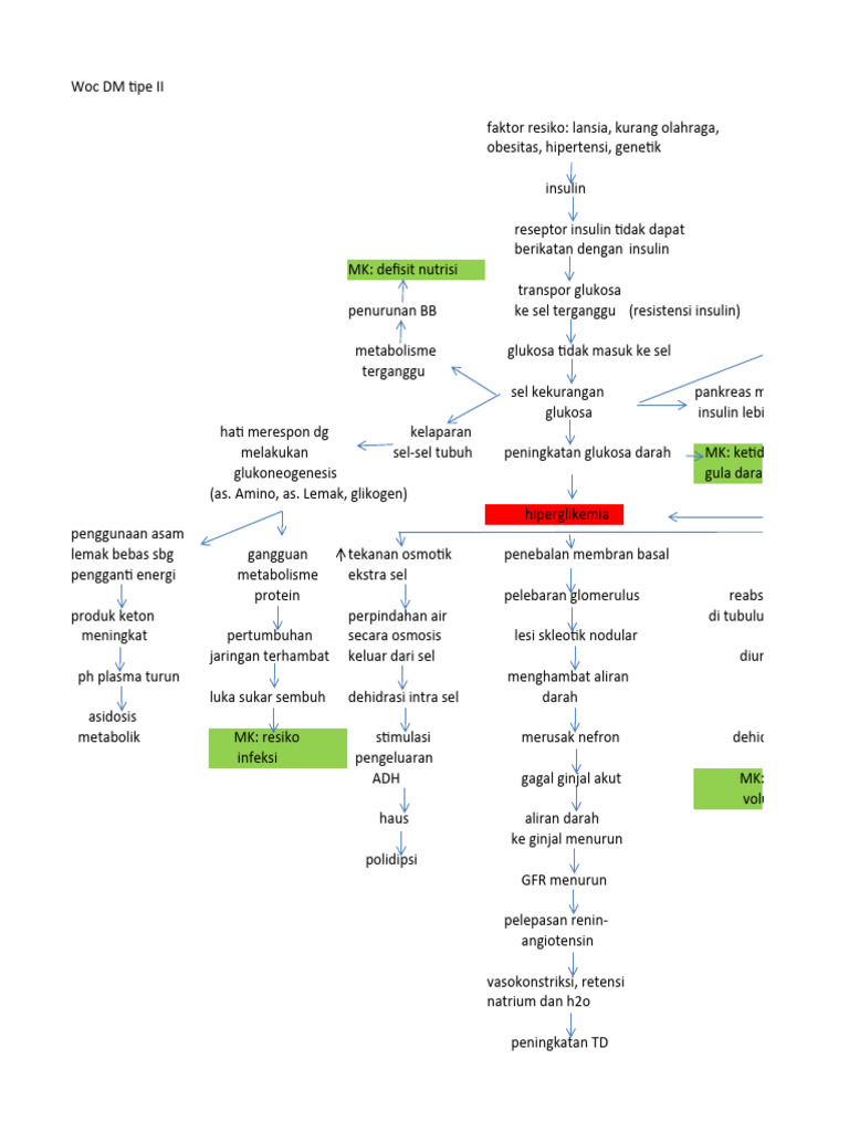 Pathway DM Tipe 2 | PDF