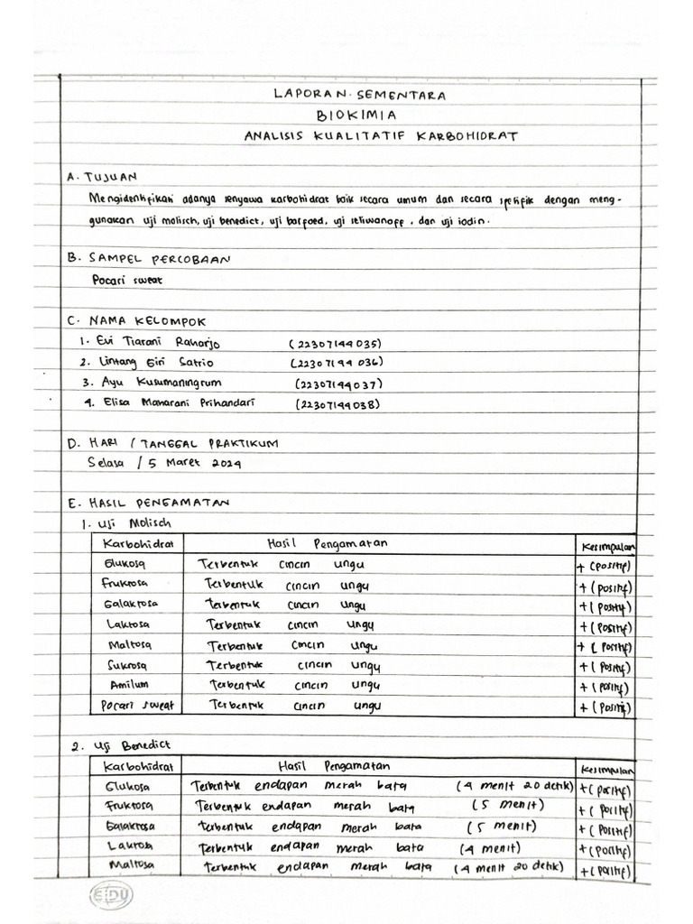 Lapsem Biokimia Kualitatif | PDF