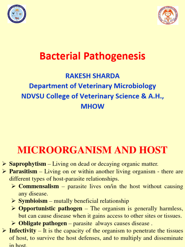 Bacterial-Pathogenesis | PDF | Lipopolysaccharide | Phagocyte