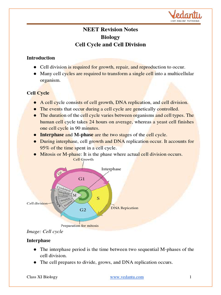 Class XI Biology: Cell Division | PDF | Meiosis | Mitosis