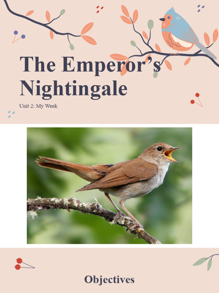 Year 4 (The Emperor's Nightingale) | PDF | Reading Comprehension ...