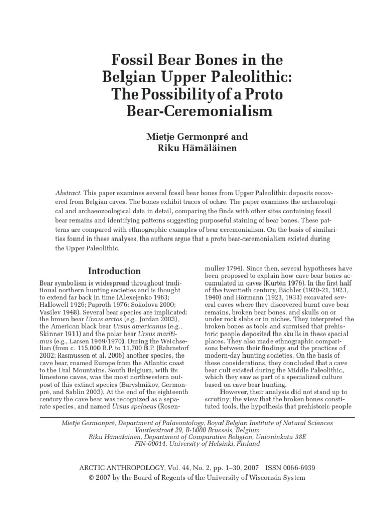 Fossil Bear Bones in The Belgian Upper P | PDF | Paleolithic | Bears