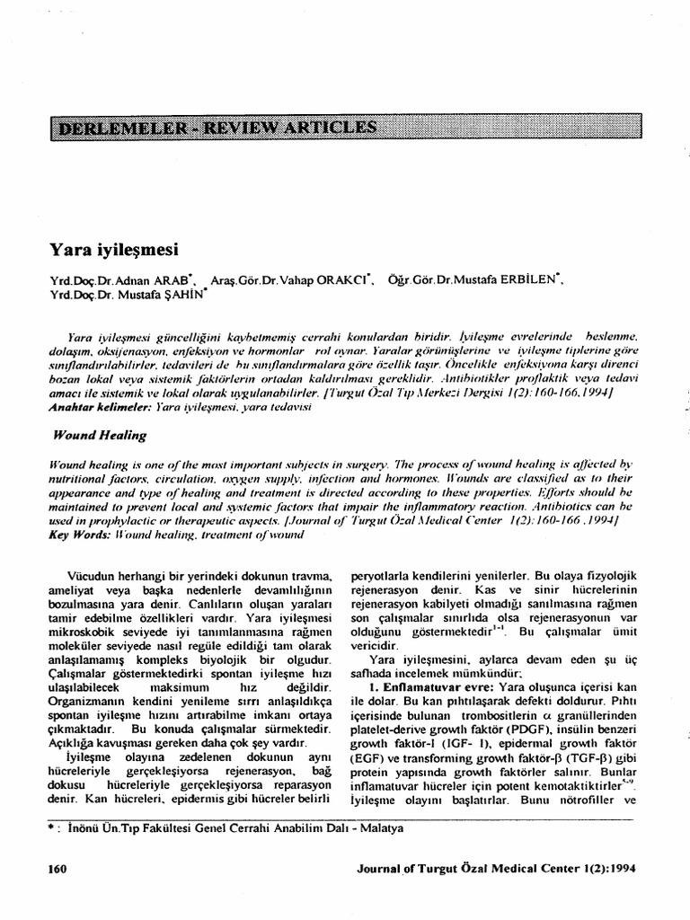 Yara Iyileşmesi | PDF