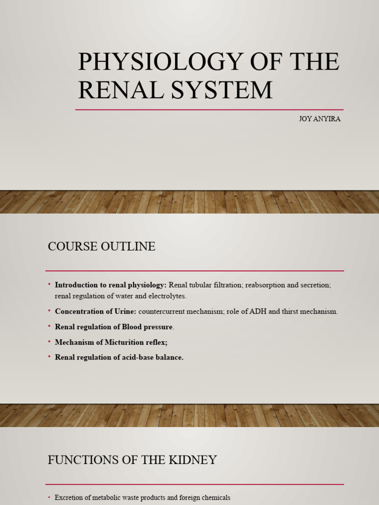 Physiology of The Renal System - 063655 | PDF