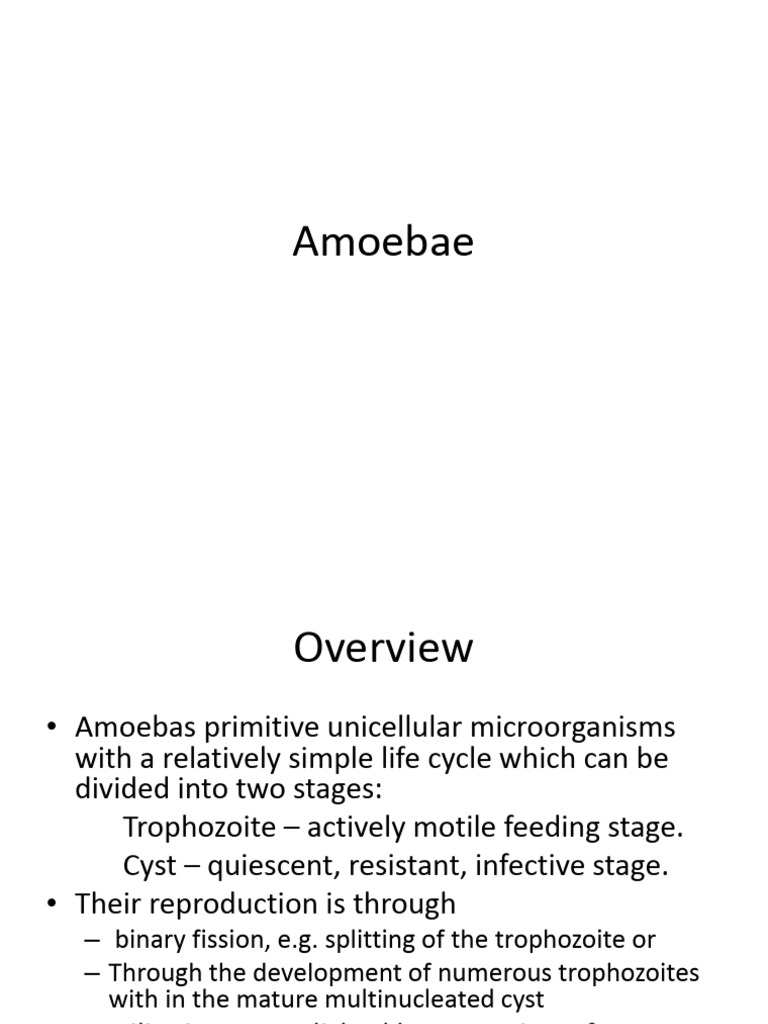Amoeba | PDF | Causes Of Death | Diseases And Disorders