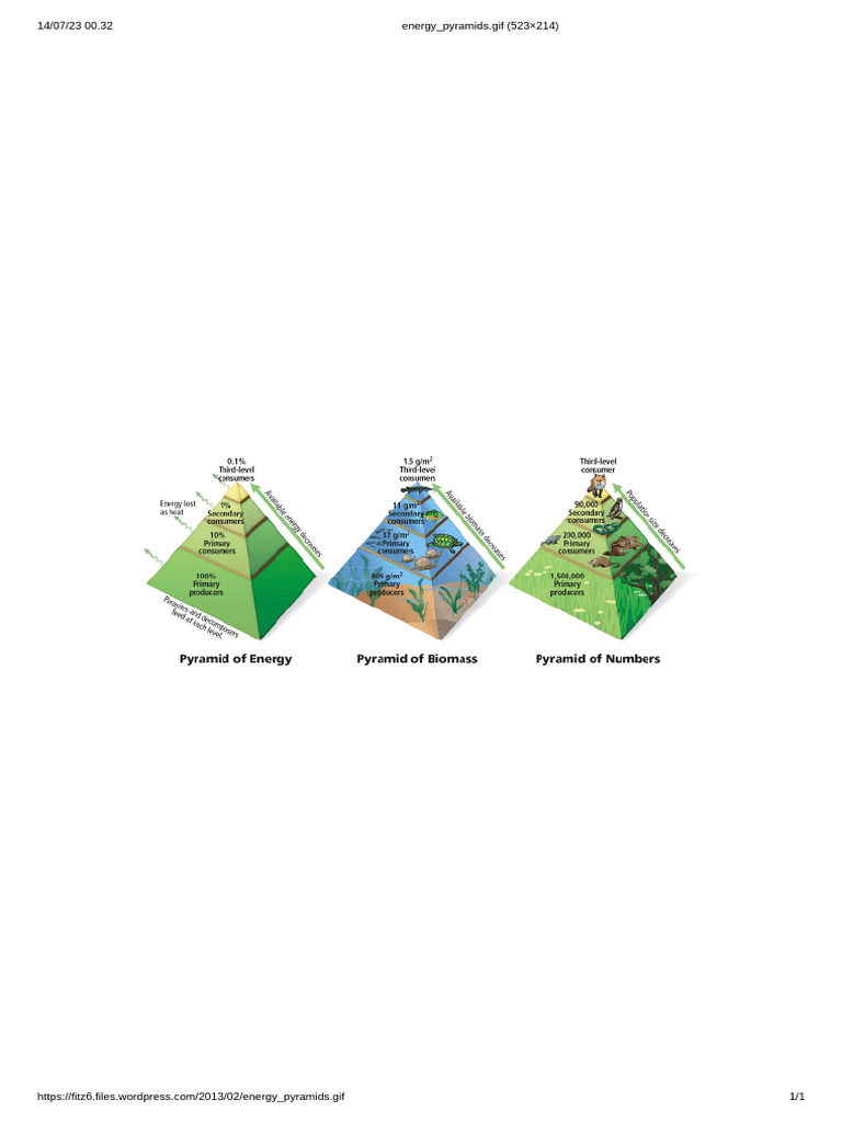 Energy Pyramids | PDF