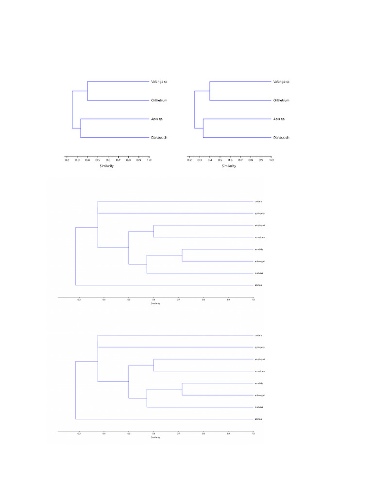 Fenogram Arthropoda 3 | PDF