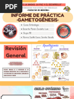 Phylum Arthropoda - Infografía | PDF | Insectos | Araña