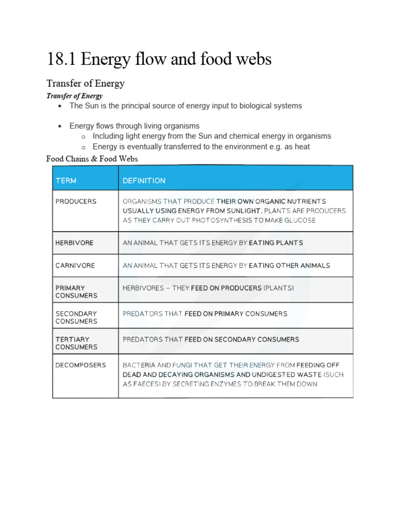 Energy Flow and Food Webs Guide | PDF | Food Web | Biomass (Ecology)