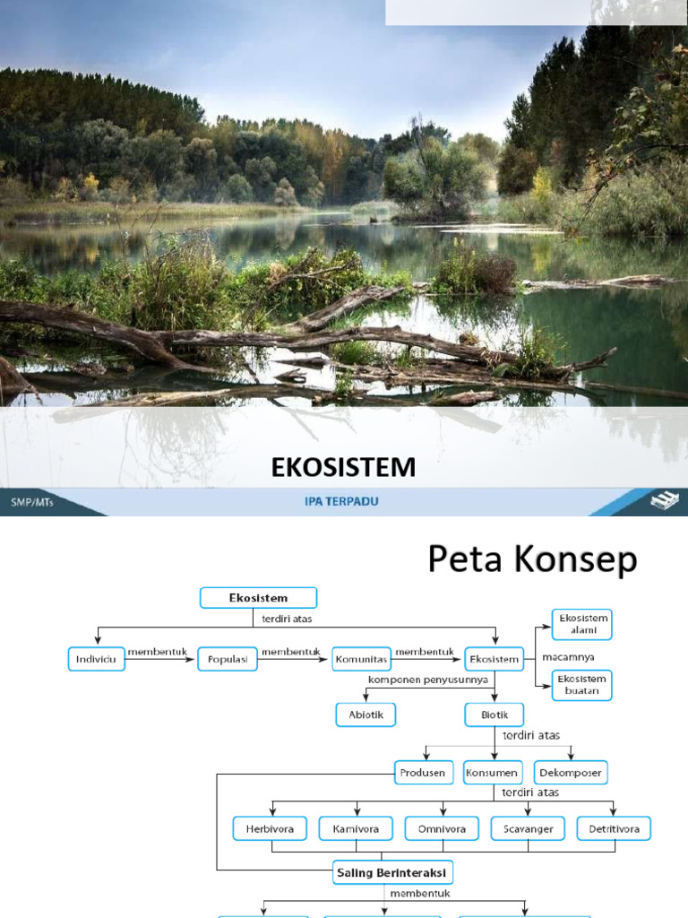 Peta Konsep Ekosistem Kelas 7 Pdf Kesehatan Holistik Sains