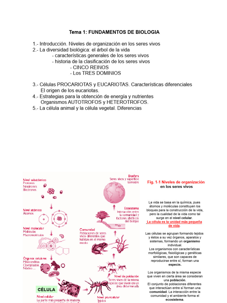 Biologia Tema 1. Fundamentos Biología | PDF