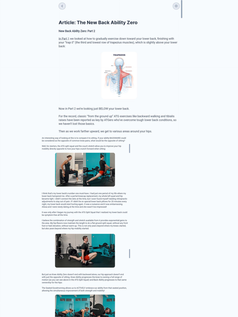 The New Back Ability Zero Program - Part 2 | PDF