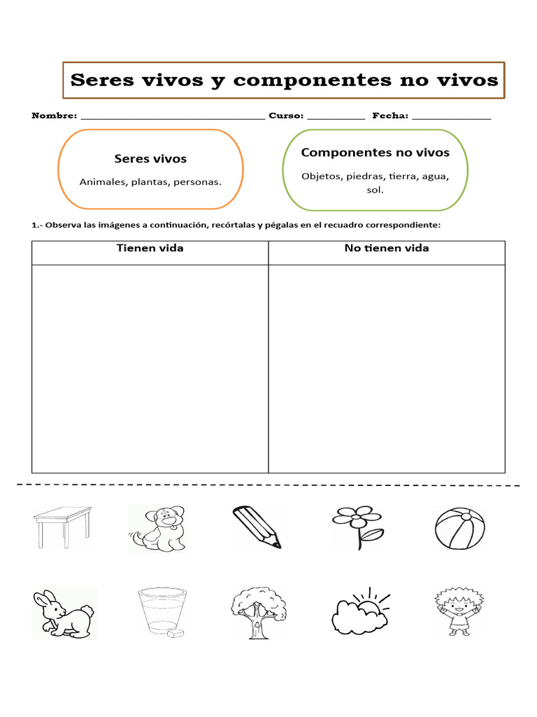 Guía Seres Vivos y Sin Vida 1° Basico | PDF