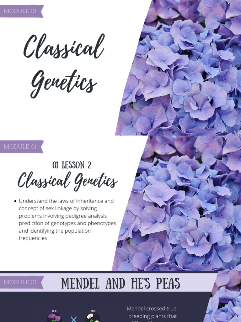Classical Genetics: Inheritance & Traits | PDF | Genotype | Genetics