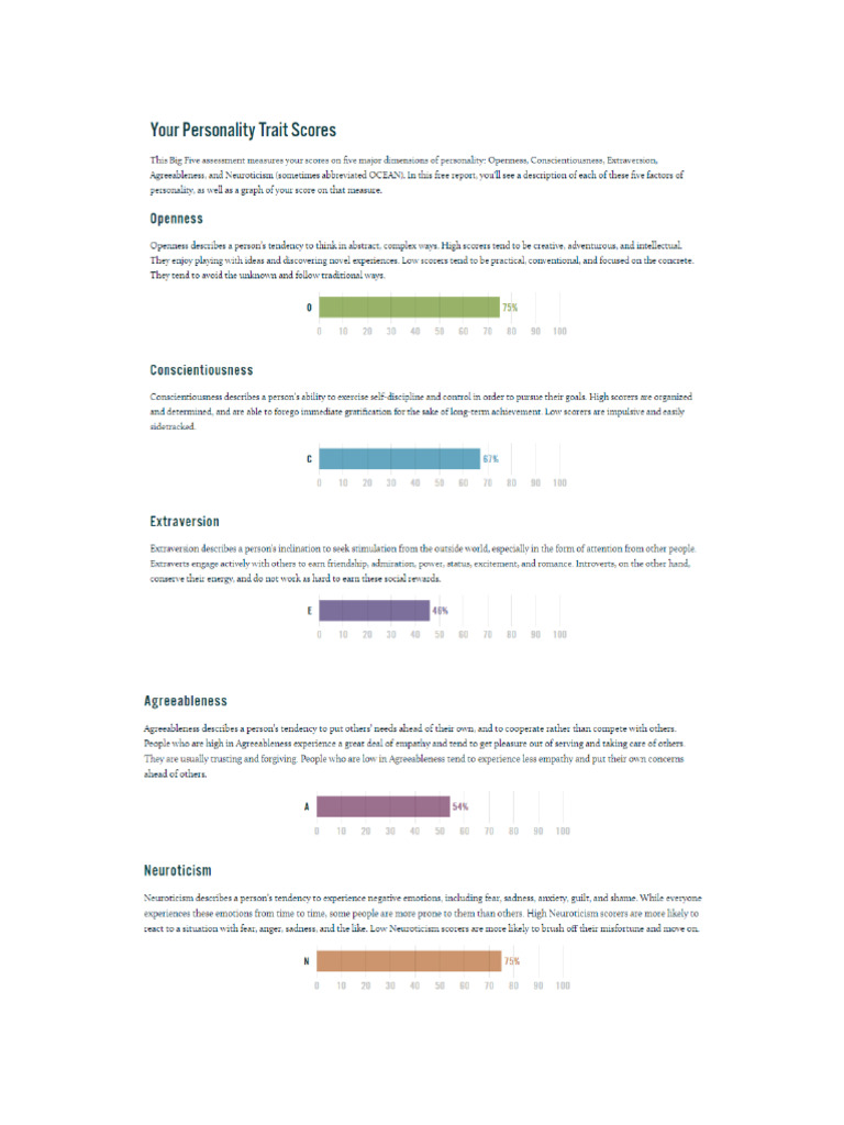 Geronimo Big Five OCEAN Personality Test | PDF
