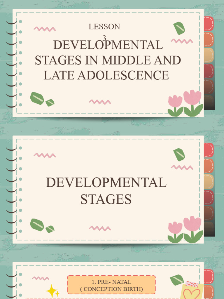 Developmental Stages in Middle and Late Adolescence: Lesson 3 | PDF | Developmental Psychology ...