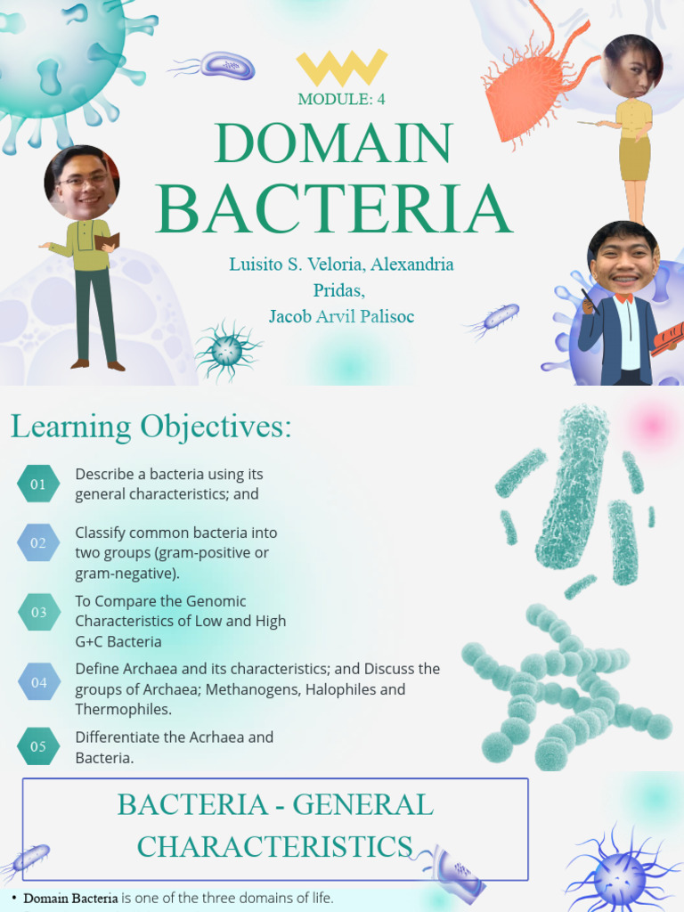 Module Domain Bacteria | PDF | Bacteria | Archaea