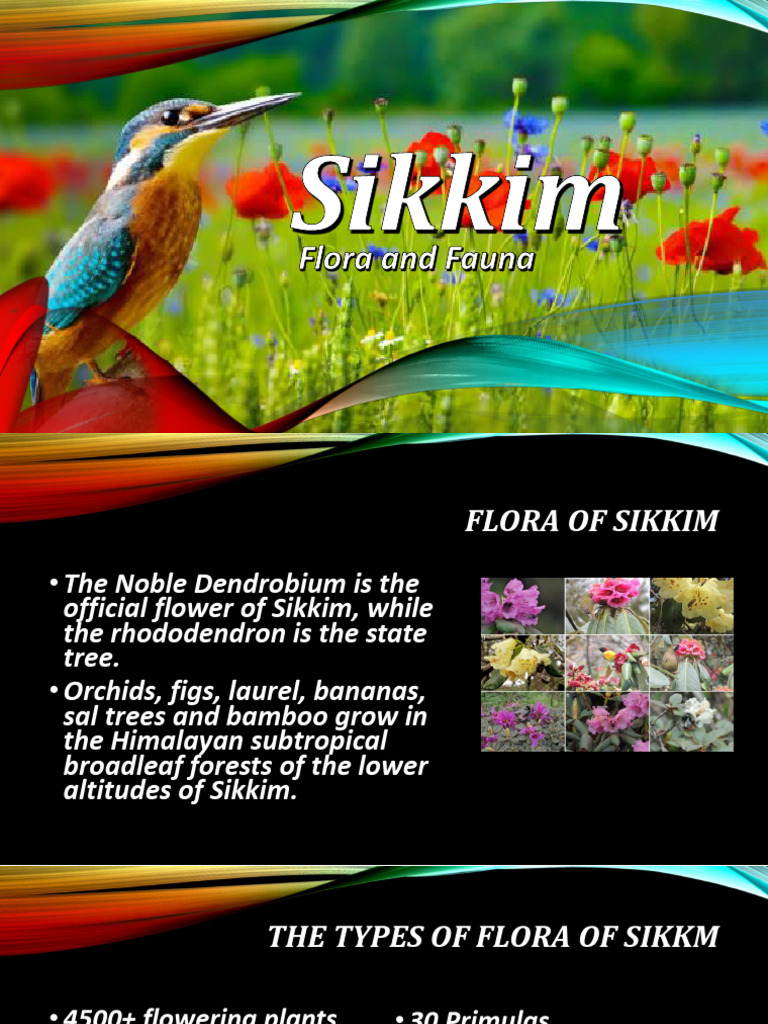 Sikkim's Diverse Flora and Fauna | PDF
