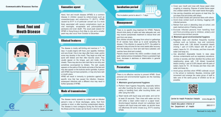 CHP_Hand mouth and foot disease 2023 | PDF | Hand Washing | Hygiene