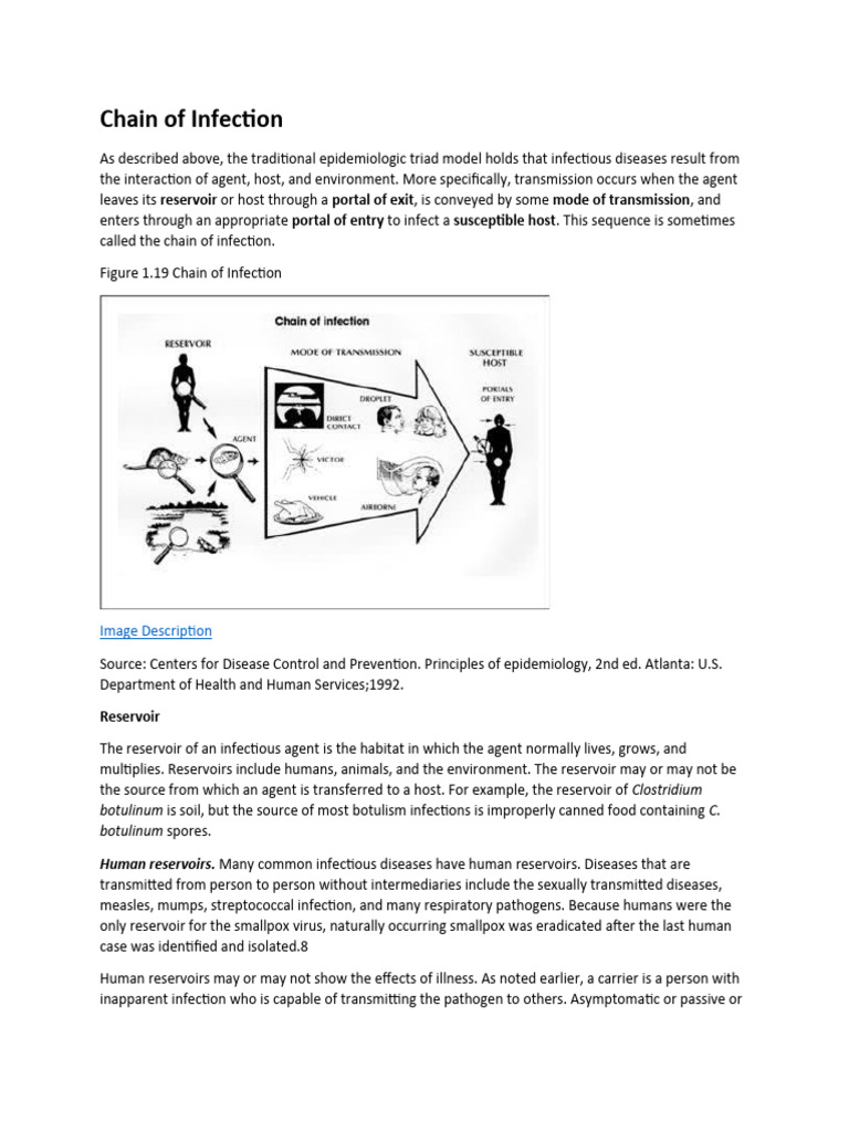 Chain of Infection | PDF | Infection | Pathogen