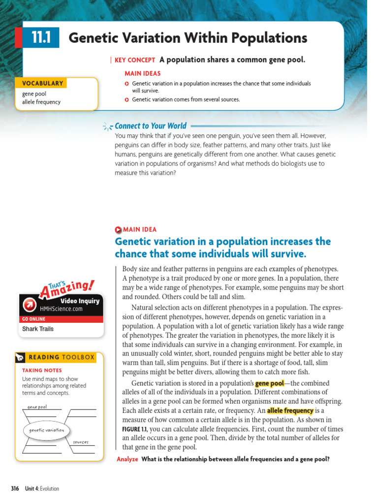 11.1 Genetic Variation Within a Population | PDF | Genetics | Genetic ...