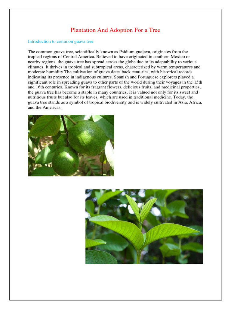 Plantation and Adoption For A Tree-1-1 | Download Free PDF | Trees ...