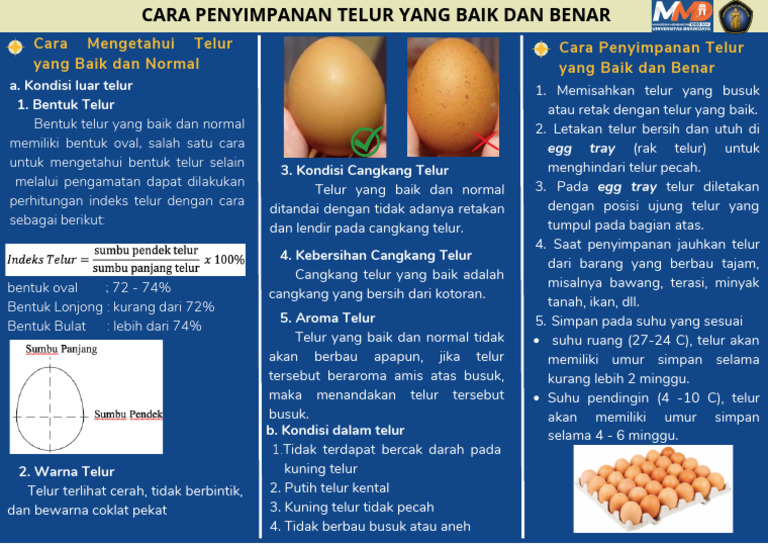 Suhu Penyimpanan Telur yang Optimal | PDF | Memasak, Makanan, & Anggur