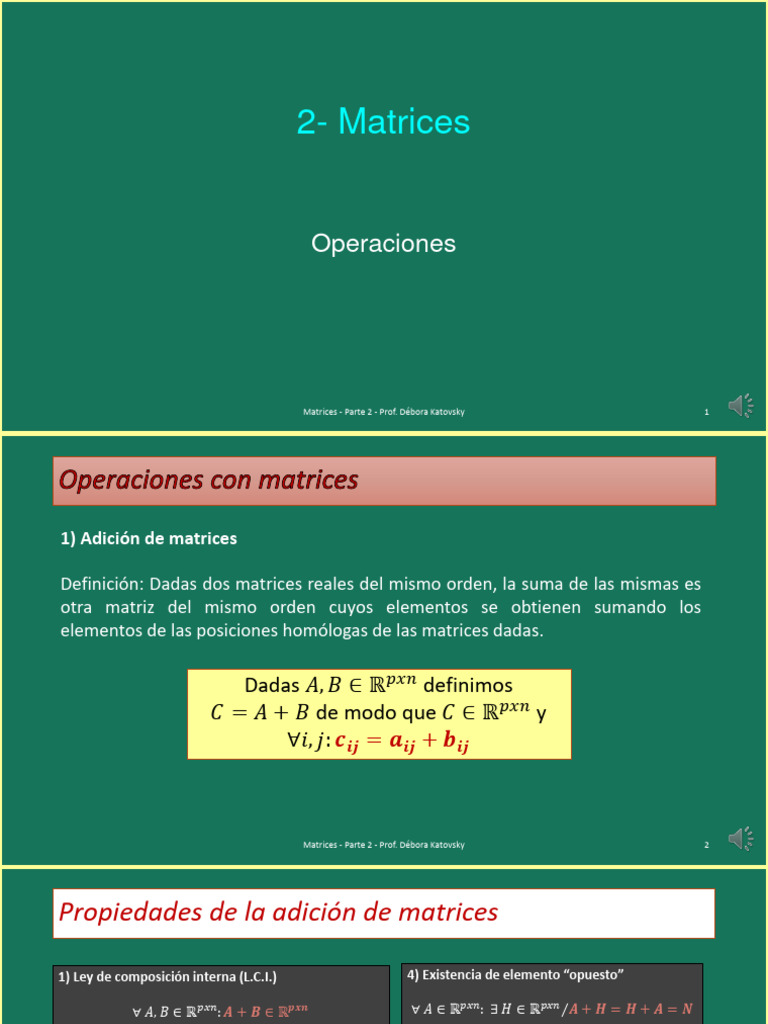 2 Matrices 22 | PDF | Matriz (Matemáticas) | Escalar (Matemáticas)