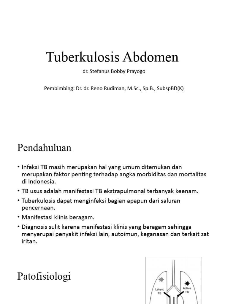 TB Abdomen Progress | PDF