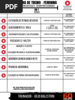 Plano de Treino Academia | PDF